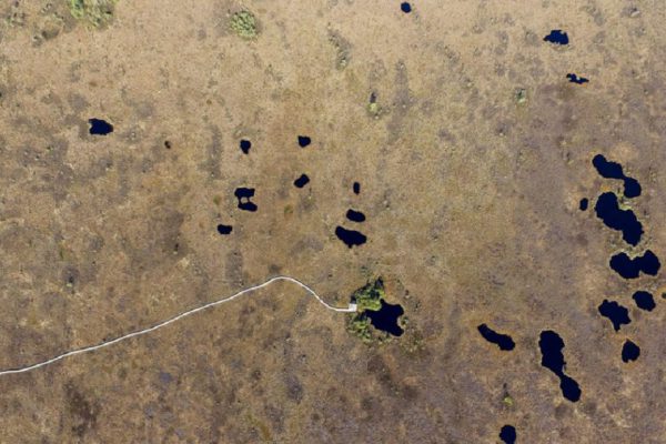 Atvira Klaipėda | Kviečia aplankyti Šilutės krašto pelkes