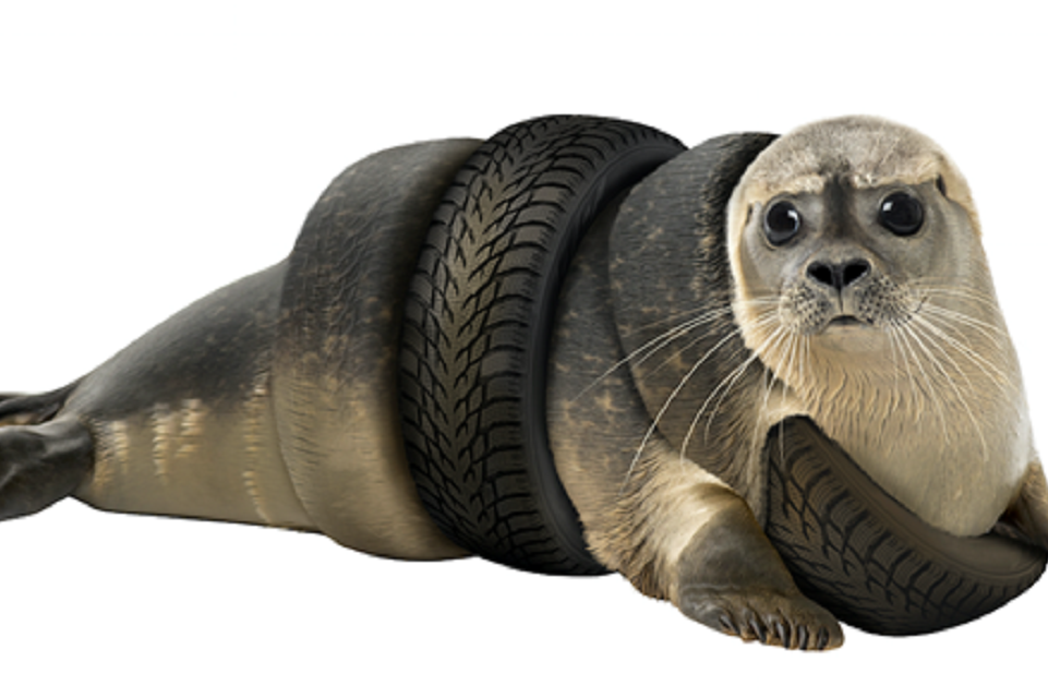 Atvira Klaipėda | Jūrų muziejuje - gyvūnai iš ateities